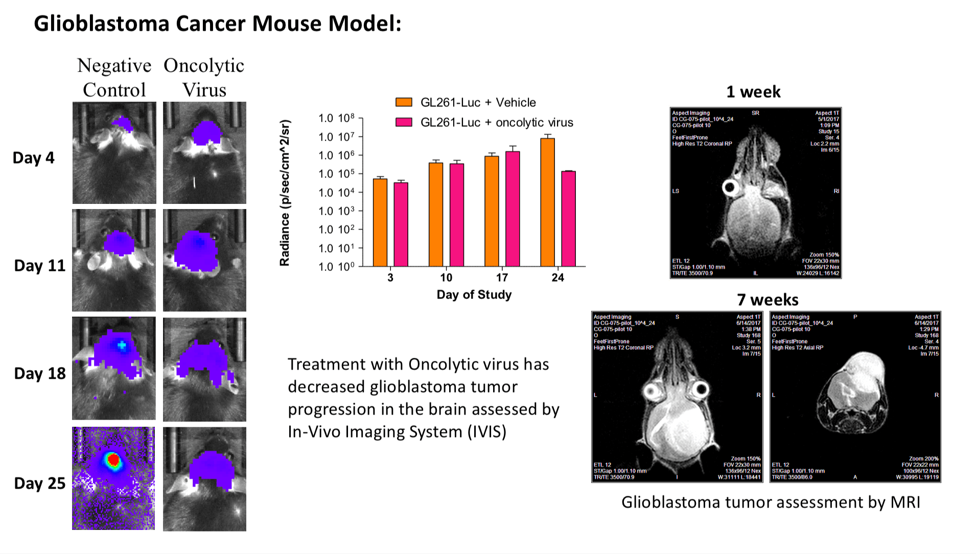 Cancer Models - Pharmaseed Cancer Models Cancer Models Pharmaseed ...